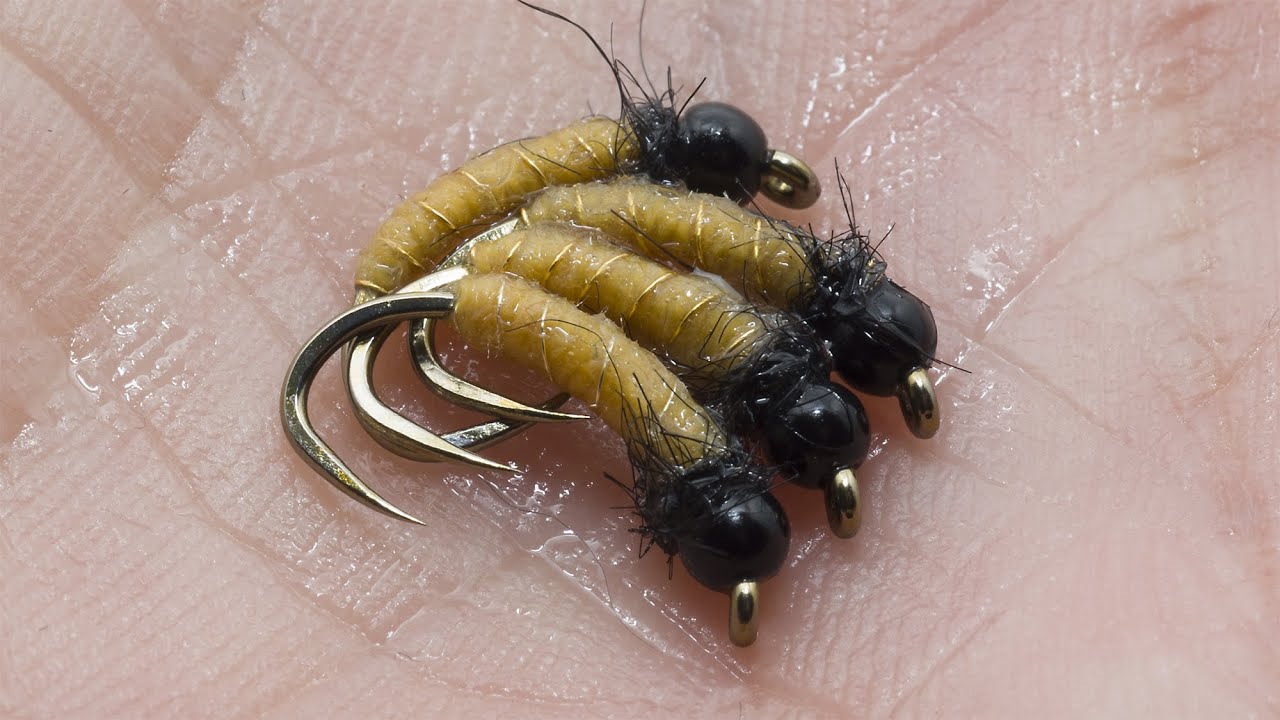 Tie This Killer Caddis Larva in Minutes – Simple & Deadly!