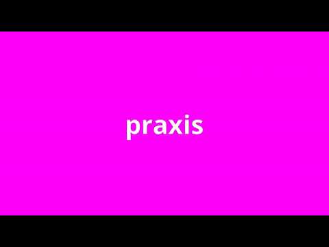 what is the meaning of praxis