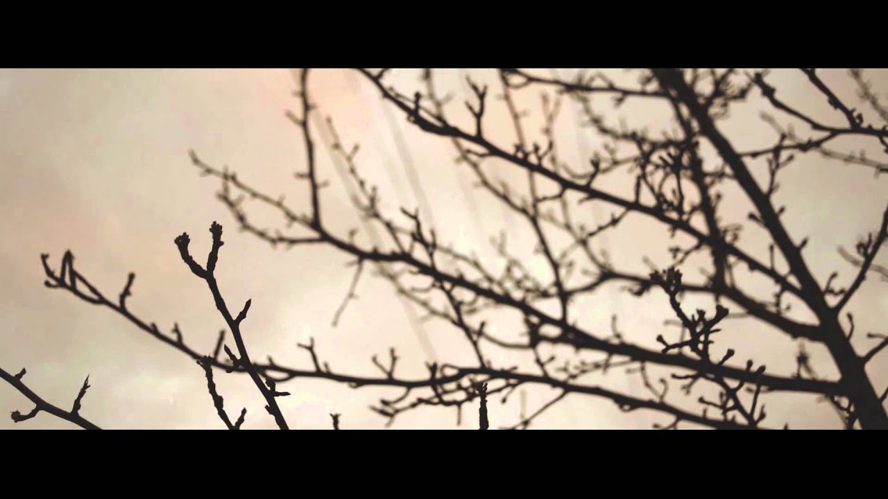Test II D800 vs 35mm f2D