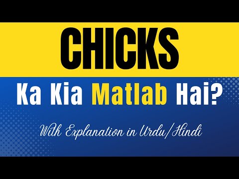 Chicks Meaning in Urdu |'Chicks Ka Kia Matlab Hota Hai'| Urdu/Hindi Explanation Included