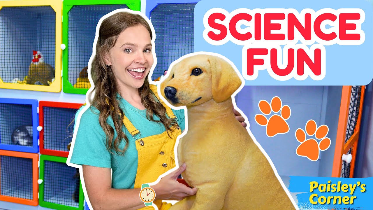 Toddler Learning - STEM for Kids | Explore Science & Discovery Center with Silly Miss Lily