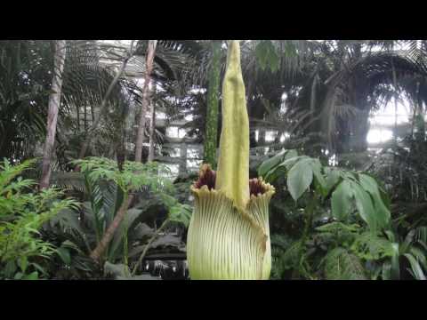 The Big Stink! | The Realm