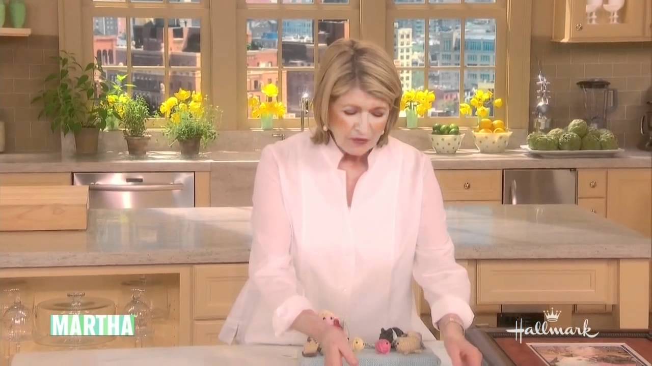 Teeny-Tiny Mochimochi on The Martha Stewart Show