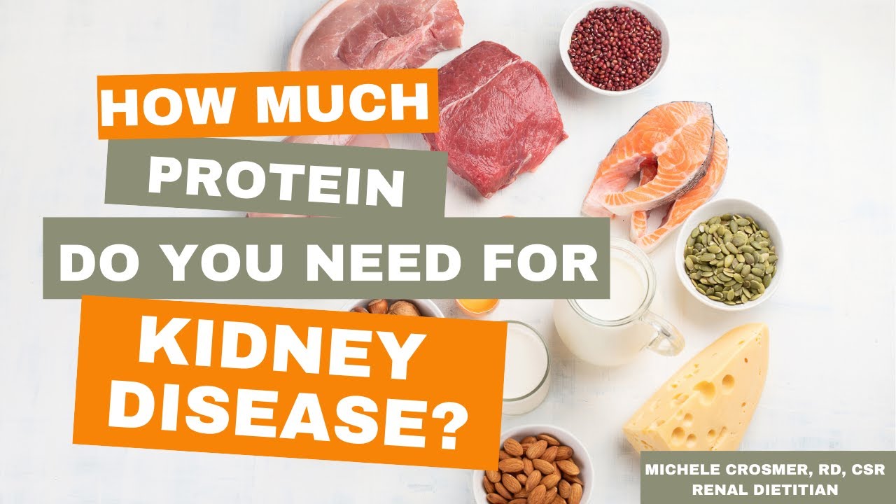 Understanding Protein Needs for Kidney Disease: A Comprehensive Guide ...