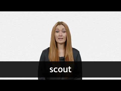 SCOUT definition and meaning | Collins English Dictionary