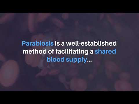 Heterochronic Parabiosis, Cellular Senescence and Aging | Aging-US