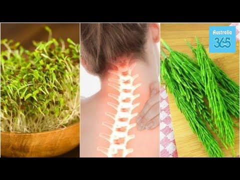7 Medicinal Plants that Improve Your Bone Health - Australia 365