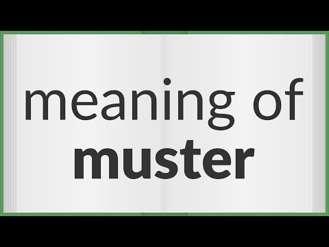 Muster | meaning of Muster
