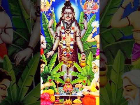 Who is a Bhagavatha - Reply given by Narayana