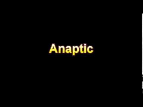 What Is The Definition Of Anaptic Medical Dictionary Free Online