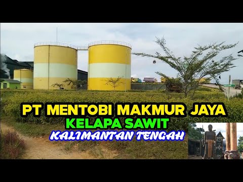 PT. MENTOBI MAKMUR JAYA _KALIMANTAN TENGAH