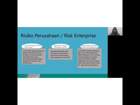 Pengauditan Internal || COSO ERM