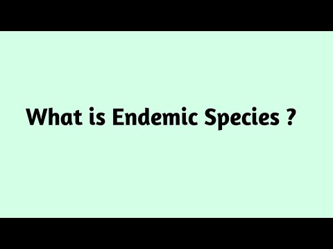 What is Endemic Species ?