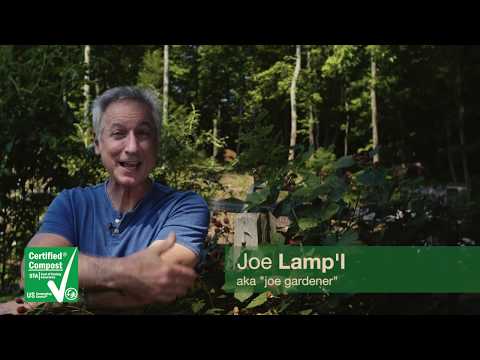 Why Professionals Need STA Certified Compost with Joe Lamp'l