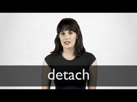 DETACH 同义词 | 柯林斯 英语词库