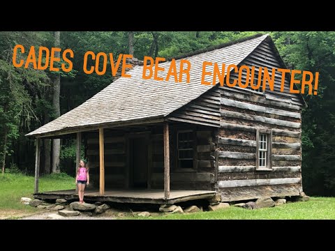 Subscriber Mail! Cades Cove Bear Sighting & Also Our Broody Hen Update!