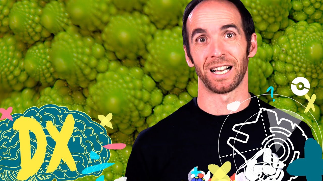 What are fractals?