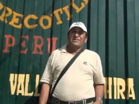 Los pioneros del Valle del Chira | El boletín del Comercio Justo en el Perú