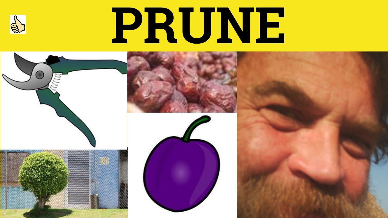 🔵 Prune - Prune Out - Prune Down - Prune Meaning - Prune Examples - Phrasal Verbs
