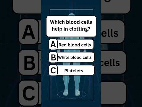 Which blood cells help in clotting?#quiz #triviatricks #education #englishvocabmastery #english#fact