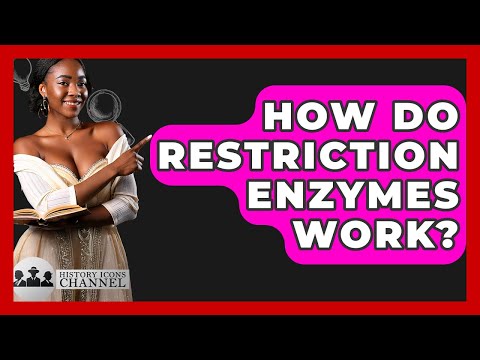 How Do Restriction Enzymes Work? - History Icons Channel