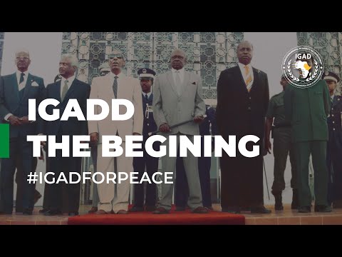 #IGADIn1Minute - IGADD the Beginning