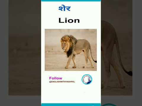 Lion Meaning in Hindi/ lion ka hindi matlab kya hai/ lion meaning/English to Hindi #english #shorts