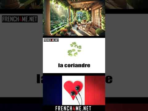 Learn French On Your Terrace I Herbes # Vol 1