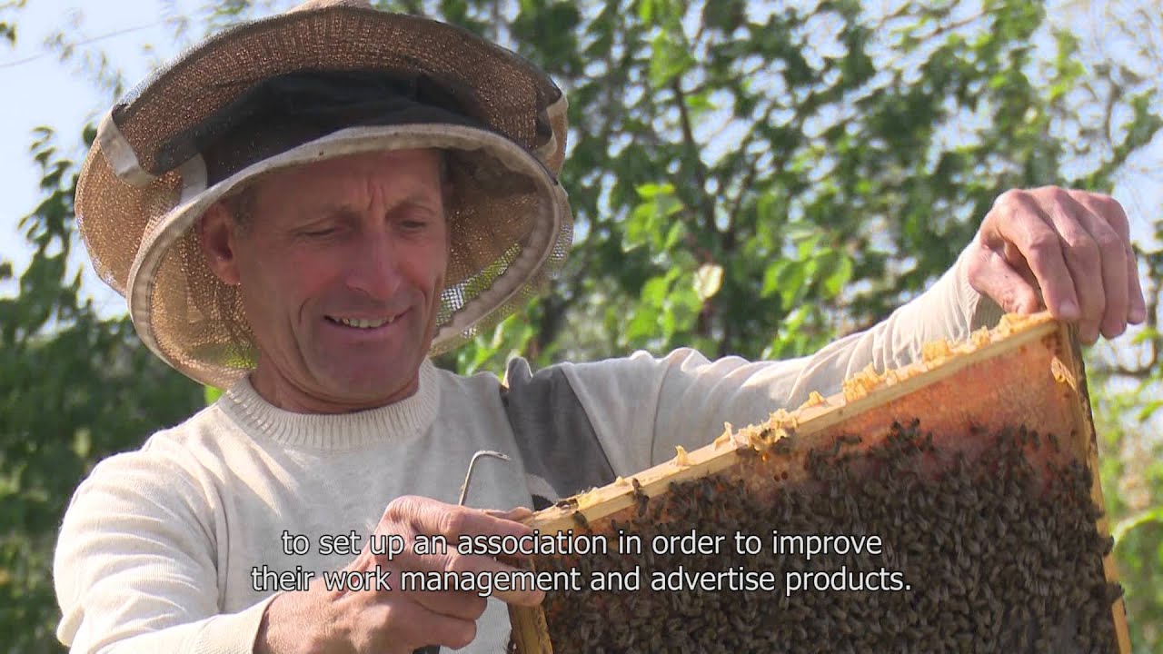 Local economic development