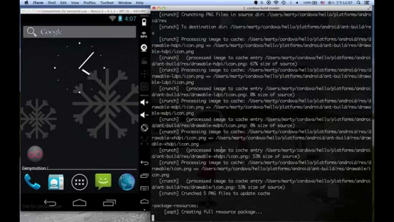 Use Cordova Plugin - Camera