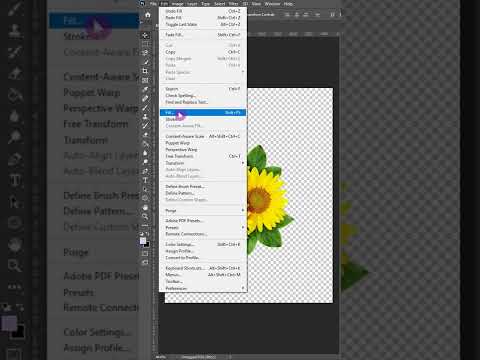 Define Pattern in Photoshop | Photoshop Tricks
