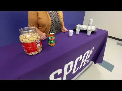 DIY Dog Pupsicles