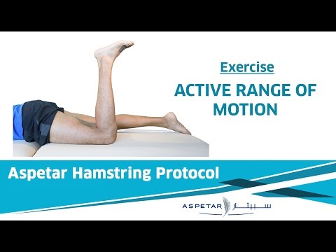 25. Exercises - Active Range Of Motion (ROM)