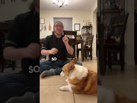 This dog learned sign language 😲