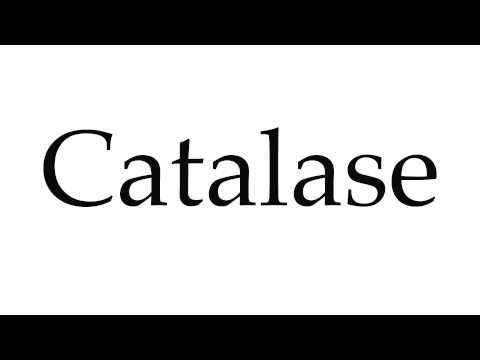 How to Pronounce Catalase