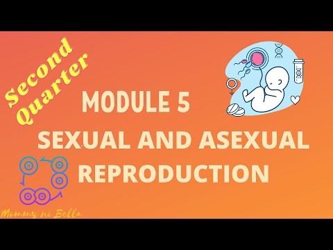 SEXUAL AND ASEXUAL REPRODUCTION