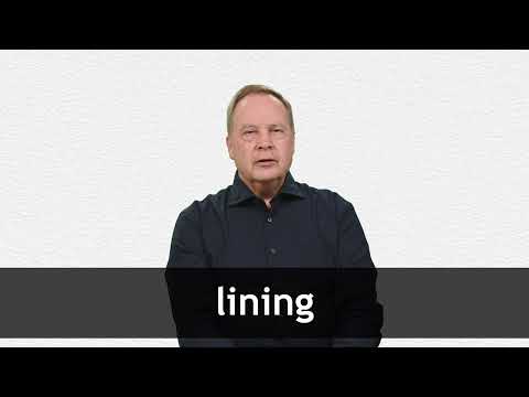How to pronounce LINING in American English