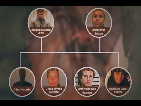 El árbol genealógico de "El Chapo"