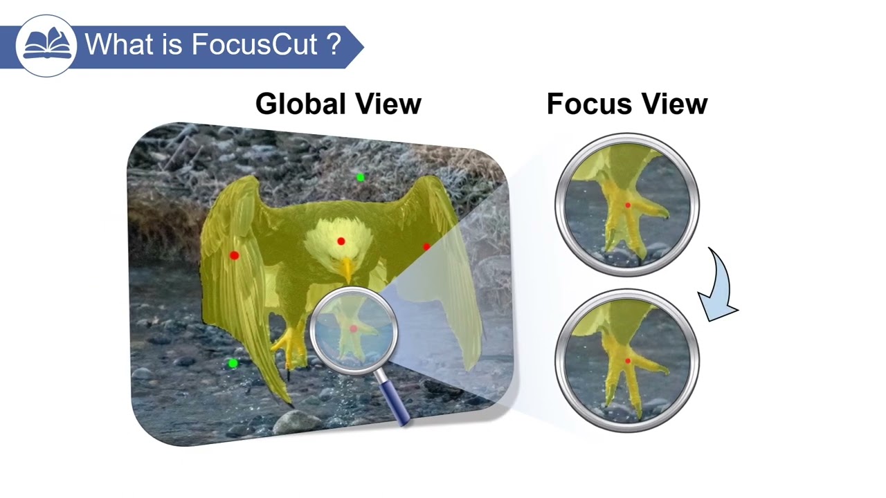 FocusCut: Diving Into a Focus View in Interactive Segmentation | CVPR 2022