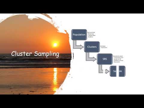 Sampling, Surveys, and Bias...Oh My!
