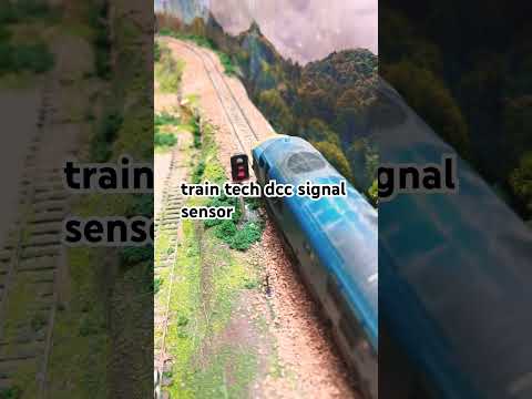 Train tech DCC signals
