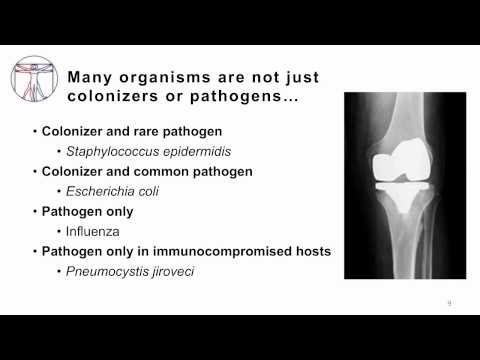 11. ClinID Epi