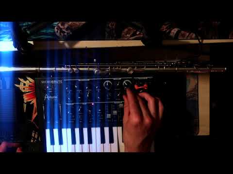 Two- An Improvisation For Monophonic Synthesizer and Flute