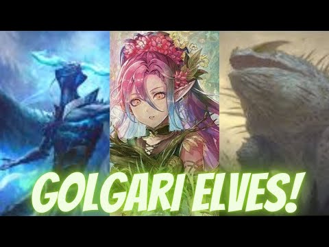 Golgari Elves Superfriends Are Unstoppable In Midweek Magic On The Edge! Mtg Arena