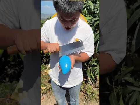 China's most unique mango cultivation 🤯