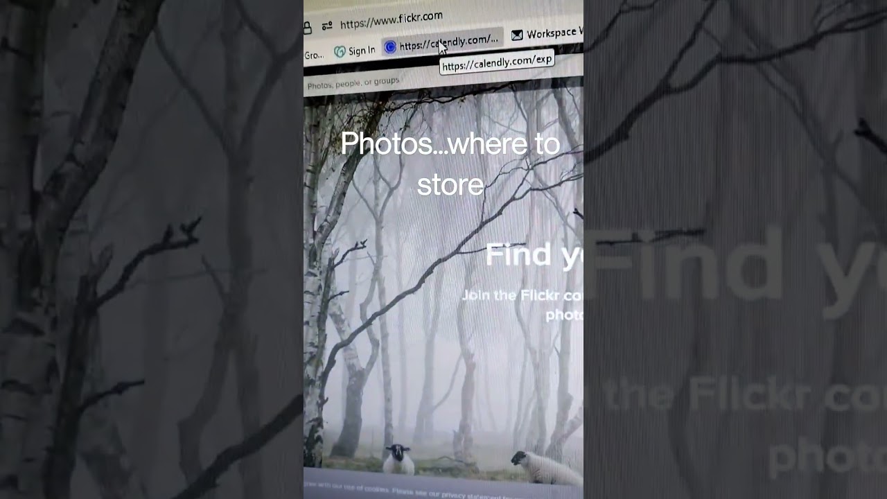 Flickr store 1000 photos