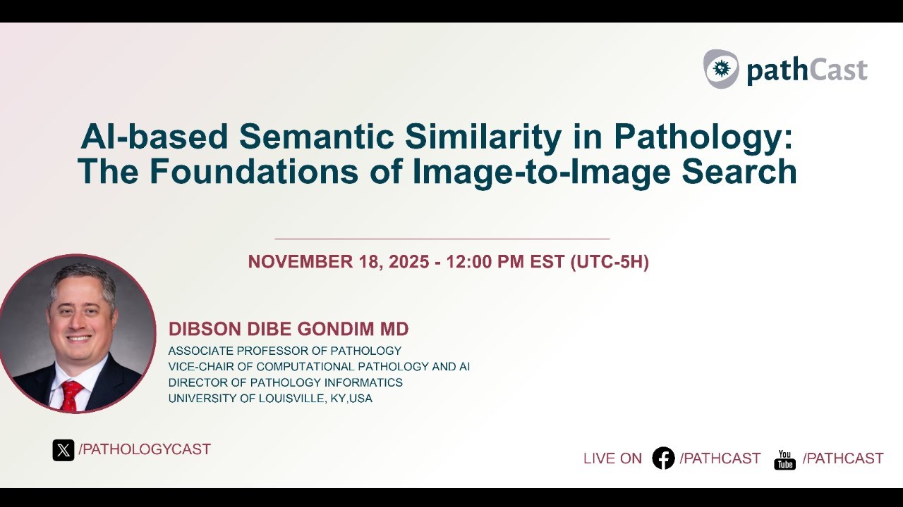 #DIGITALPATH AI-based Semantic Similarity in Pathology: The Foundations of Image-to-Image Search