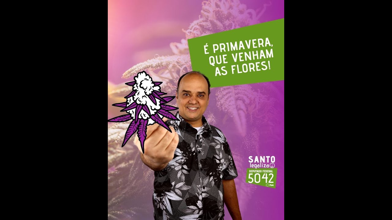 É primavera que venham as Flores!!!