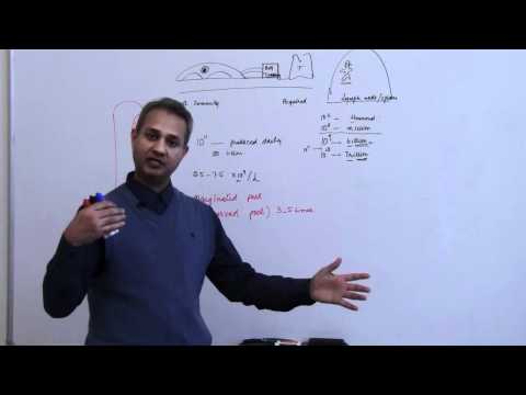 Immunology (Neutrophil) Lecture 3 Part 8