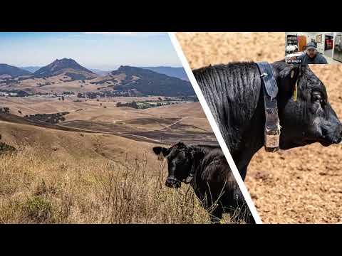QuaranTEEN Virtual Science Café, April 21, 2020: Raising Beef Cattle in the Modern Era
